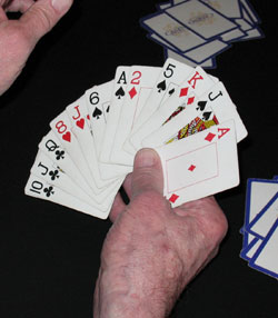 Learn Natural Bridge in Just Thirty Minutes - Games - Ask Toy Tech