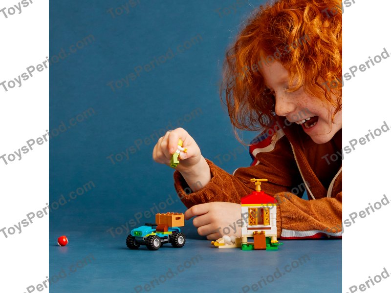 LEGO 60344 Chicken Henhouse Set Parts List