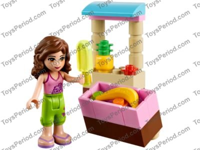 LEGO 41010 Olivia's Beach Buggy Set Parts List