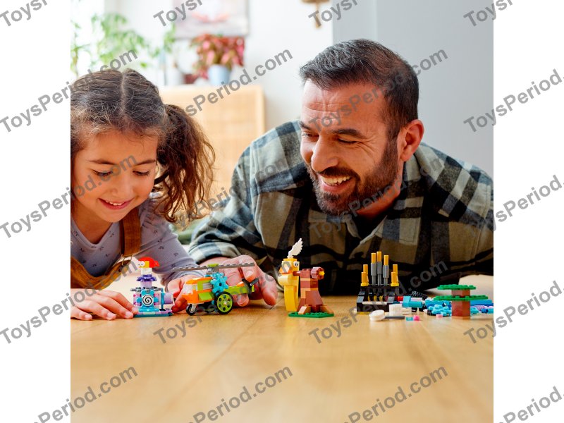 LEGO 11019 Bricks and Functions Set Parts List