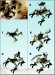 LEGO 8977 Zesk Instructions and Parts List