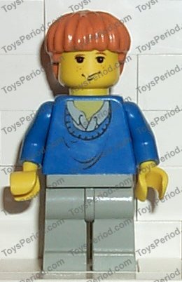 LEGO Sets with Minifigure hp006 Ron Weasley, Blue Sweater Torso, Light ...