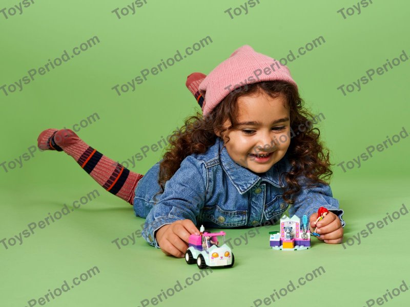 LEGO 41439 Cat Grooming Car Set Parts List