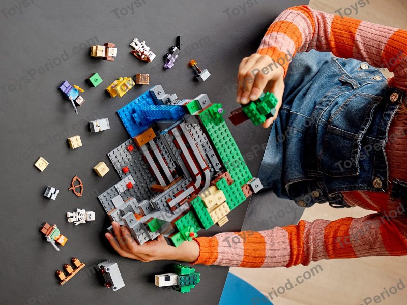 LEGO 21169 The First Adventure Set Parts List